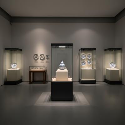 China Custom Museum Exhibit Cases 90° Side Opening Glass Full View Freestanding LED Light Showcases for sale