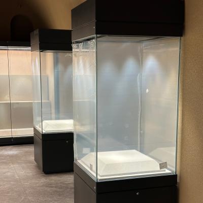 China Powder Coating Museum Display Cases OEM ODM Exhibit Display Cases for sale