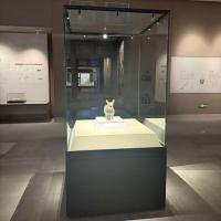 Quality Custom Modern Museum Glass Display Case For Science Museum Exhibits Display for sale