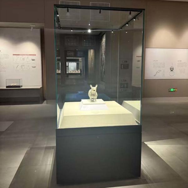 Quality Custom Modern Museum Glass Display Case For Science Museum Exhibits Display Equipment for sale