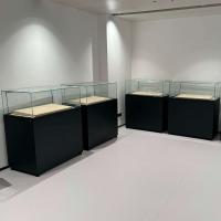 Quality Micro Environment Controlled Glass Display Showcase Free Move For Museum for sale