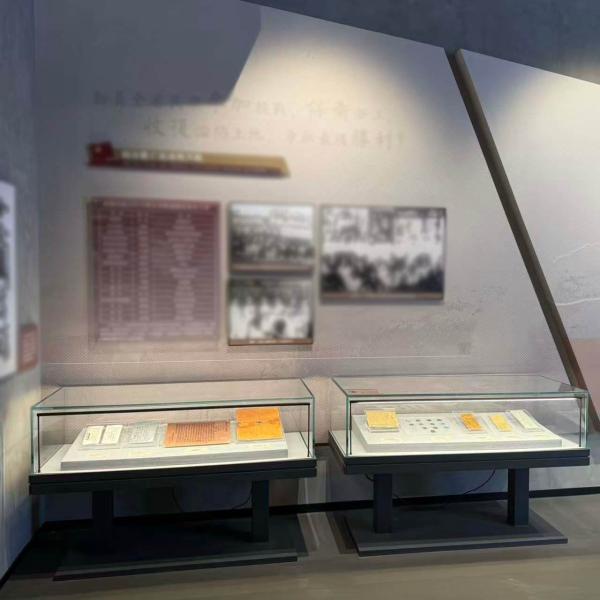 Quality T Museum Exhibit Display Cases High Durability Adjustable With LED Lighting for sale