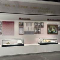 China Frameless Multi Purpose Museum Display Case Table Cabinet for Collectors for sale