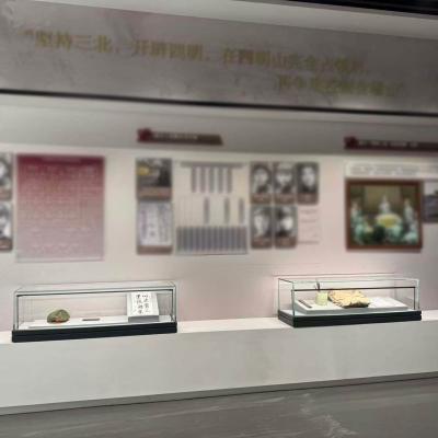 China Frameless Museum Style Display Case Multi Purpose Collectors Museum Display Cases for sale