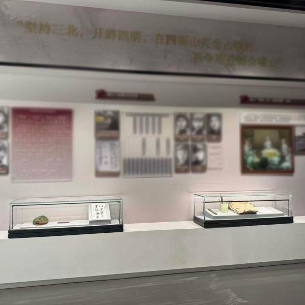 Quality Frameless Museum Style Display Case Multi Purpose Collectors Museum Display Cases for sale