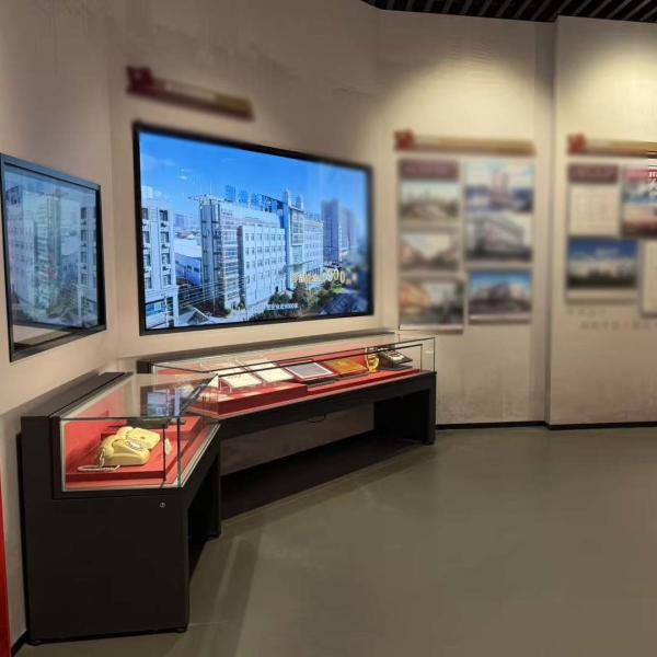 Quality High End Museum Display Cabinet High Strong Glass Exhibit Display Cases With LED Lighting for sale