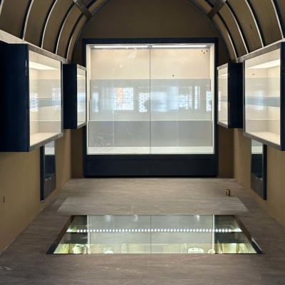 China Museums Wall Display Unit Large Capacity Hanging Display Cabinet for sale