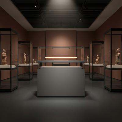 China Museum Display Case Design Counter Display Case With Remote Opening Capability for sale