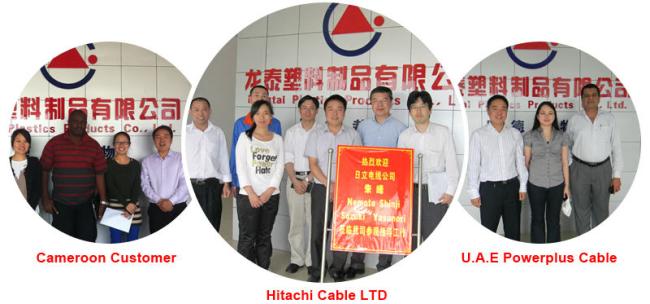 Jiangxi Longtai factory facility