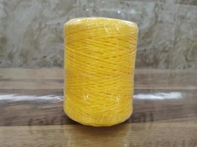 중국 가려움증 저항성 PP 발러 트와인 생동감 넘치는 색상 수분 저항성 및 사용자 정의 길이 판매용