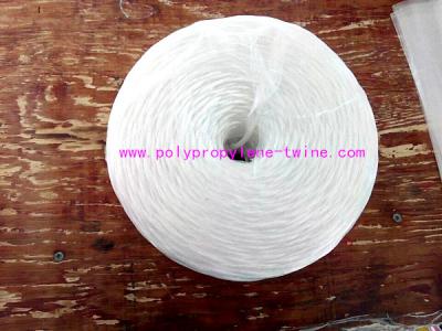 China Raw White Polypropylene Twine Packing Rope Lt021 Diameter 1mm - 6mm for sale