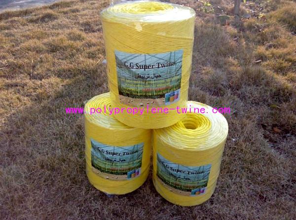 High Tensile UV Treated PP Twine For Agriculture And Packaging