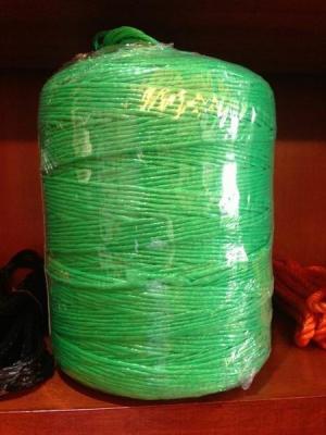 China High Breaking Strength and UV Treated PP Baler Twine , Agriculture Pp Twine for sale