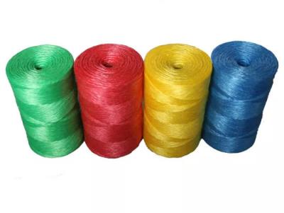 중국 자외선 저항성 녹색 폴리 프로필렌 발레어 트와인 맞춤형 지름과 오른쪽 또는 왼쪽 트위스트 판매용