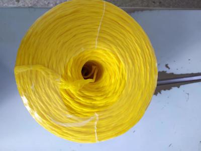 中国 2mm Polyprolylene PPは400m/Kg 1600mバナナおよび釣をより合わせる 販売のため