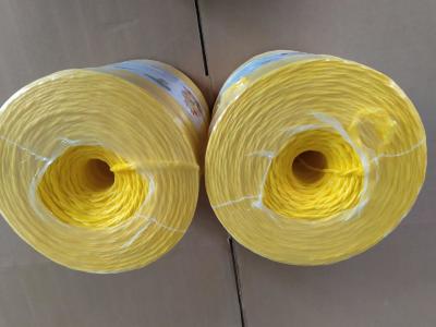 Cina 2mm Polyprolylene pp attorcigliano la banana e la pesca di 400m/Kg 1600m in vendita
