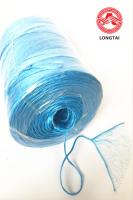 China Agriculture Polypropylene Twine for sale