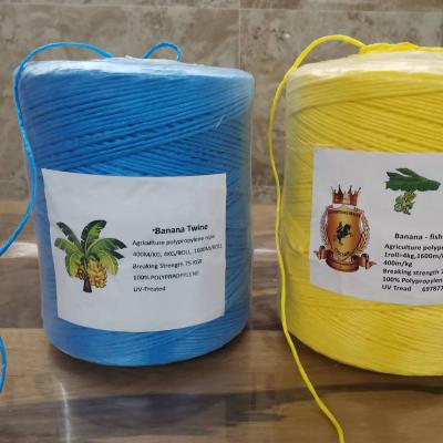 China UV-Stabilized PP Twine 1-3mm Diameter for Agriculture Packing for sale