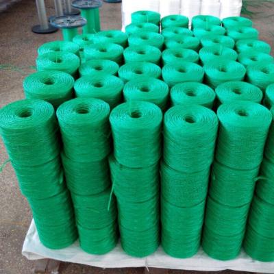 China UV Treated Polypropylene Twine 1mm-3mm for Tomato Tying and Agricultural Packaging 200m-2000m/roll for sale