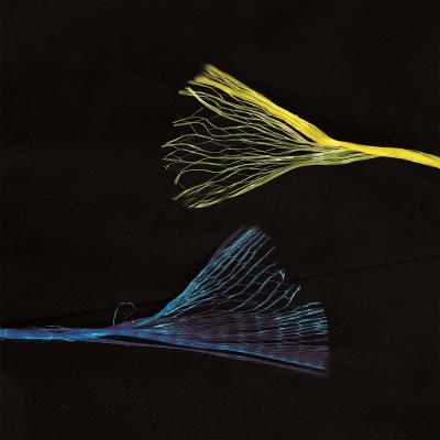 China Soft Polypropylene Tomato Twine with Customizable Color and 200m-2000m Length for Agriculture Packaging for sale