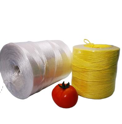 China UV Twine Polypropylene Twine 7500 M 6 Kg/roll 100% PP for Greenhouse Use for sale