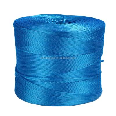 China Agricultural PP Twine 1ply 300m/kg Custom Color Baling & Binding Baler Rope for sale