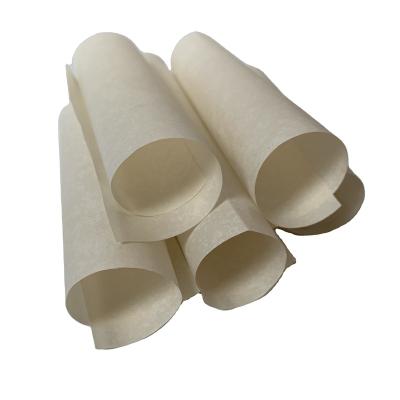 China Insulation resistance 1.12 times 10 to the power of 14 ohms motor insulation paper engineered to resist heat up to 300 degrees Celsius for sale
