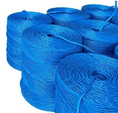China High tensile UV resistant durable polypropylene agricultural hay baling twine for hay baler secure crop binding for sale
