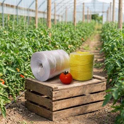 China High Tenacity Cucumber Trellis PP Twine Virgin Material for sale
