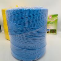 China PP Tying Twine for sale