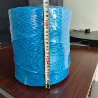China PP Tying Twine for sale