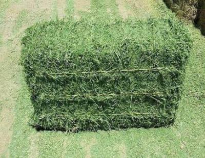 중국 정원 블랙 3 층 8 " 베일러 끈 피피 스플리트필름 스풀 판매용