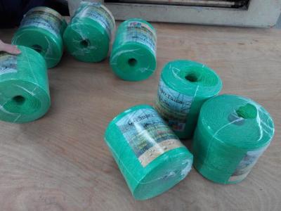 Cina La corda variopinta della cordicella del polipropilene dei pp ha torto 2 3 fili in vendita