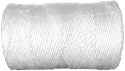 China Pp Raffia / Musk Melon Agricultural Baler Twine for Garden usage for sale