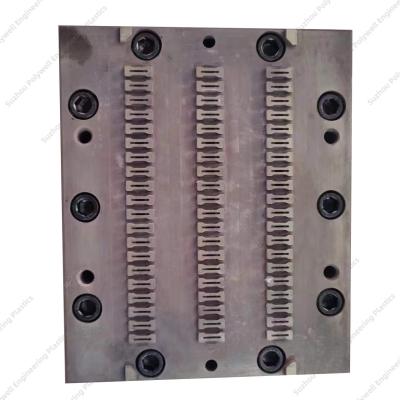 Cina Injection Mold Put In Nylon Thermal Barrier Strip Extruding Machine in vendita