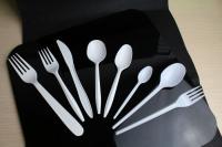 China Biodegradable Plastic Spoon for sale