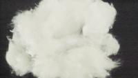 China compostable PLA fiber for sale