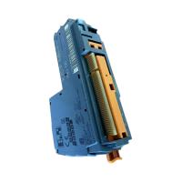 China X20IF1061-1 The interface module is equipped with a PROFIBUS DP V1 interface for sale