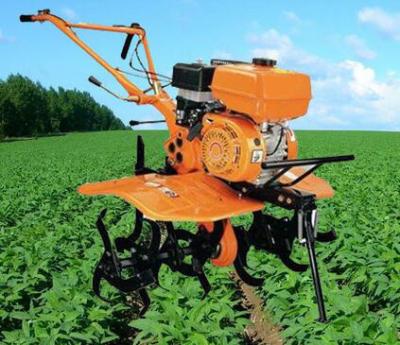 Cina Mini Power Rotary Tractor Tillers e coltivatori con il tipo della frizione di tensionamento della cinghia in vendita
