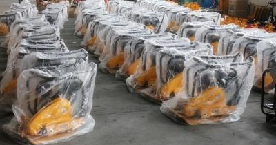Cina Compattatore della piastra vibrante della benzina della costruzione di strade con controllo idraulico in vendita