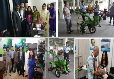 Cina Piccolo attrezzo del giardino di potere diesel per agricoltura con il motore di raffreddamento ad aria forzata 173F in vendita