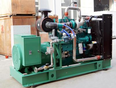 Cina Tipo insonorizzato 250kVA generatore di raffreddamento ad acqua del gas naturale con il motore di Cummins NTAA855NG in vendita