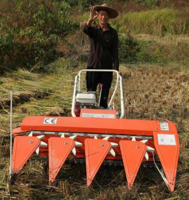Cina 4.2HP alla piccola mietitrice del reaper diesel dell'erba 5.5HP con la larghezza di taglio di 120cm in vendita