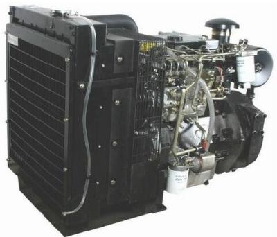 Cina Il CE ha approvato il contenitore raffreddato ad acqua Genset con CA senza spazzola tre/monofase in vendita