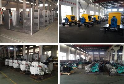Cina Generatore del gas naturale di protezione dell'ambiente 300kw con la buona prestazione del sistema di CHP in vendita