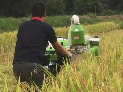 Cina Stella 10HP Mini Combine Rice Harvester di ritrazione con il motore diesel 178F in vendita