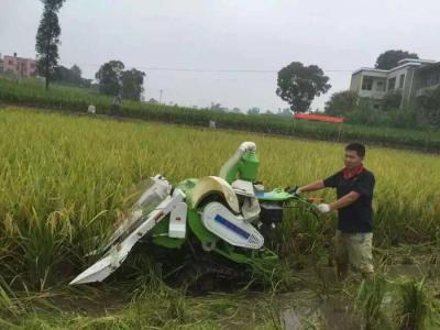Cina Stella 10HP Mini Combine Rice Harvester di ritrazione con il motore diesel 178F in vendita