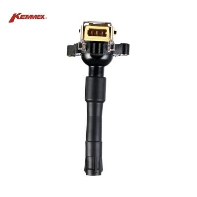 Cina 12131703227 Bobina di accensione per BMW 12131748018 12137599219 0221504004 0221504029 1404309 in vendita