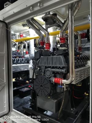 Cina 250KW 300KVA 500KW 625KVA 600KVA 1MW 1000KW Generatore Deutz a gas naturale LNG CNG Set per contenitori a prova di pioggia all'aperto in vendita