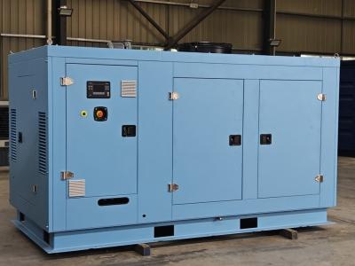 中国 プレミアム高効率低騒音 160kW 200KVA 200KW 250KVA 天然ガスCHP発電機 販売のため